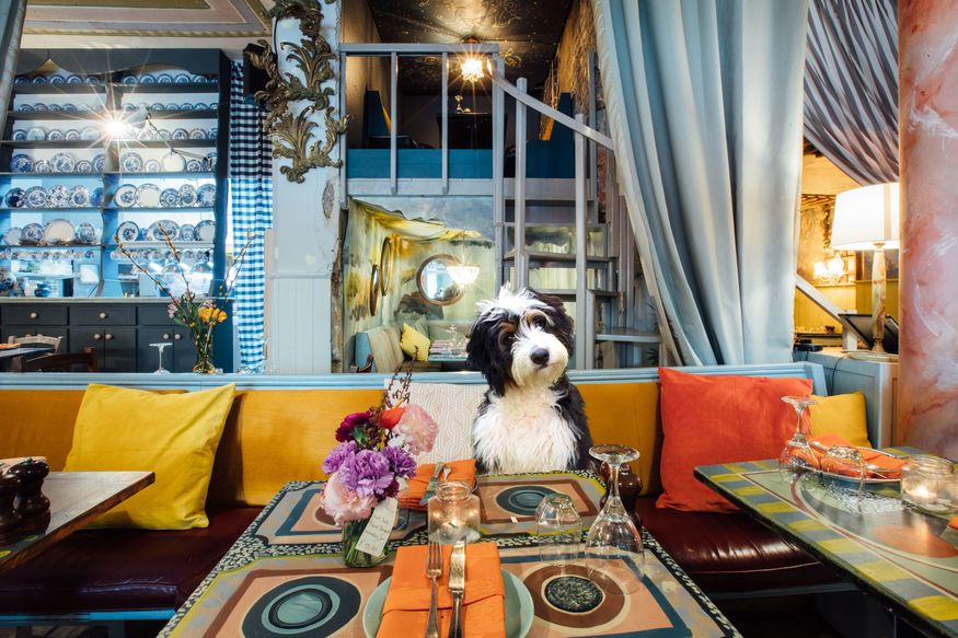 Dine With Your Dog At Hello Darling This March | Londonist