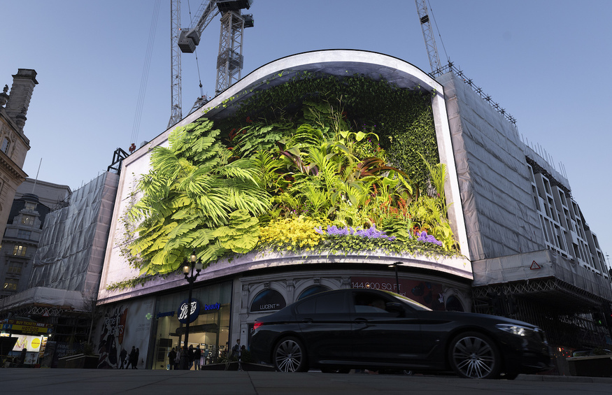 BTW David Attenborough Just Took Over Piccadilly Circus | Londonist