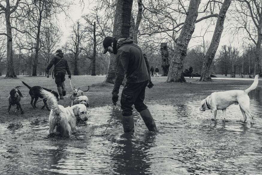 In Photos: A Drizzly Day In Kensington Gardens | Londonist