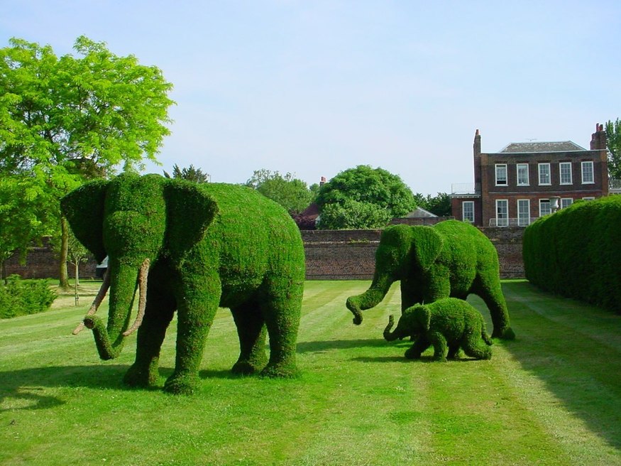 Chelsea Flower Show 2026 | Londonist
