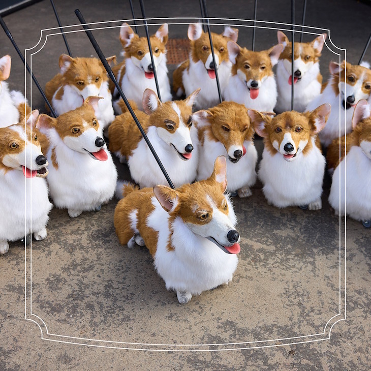 A Guide To Sunday's Platinum Jubilee Pageant | Londonist