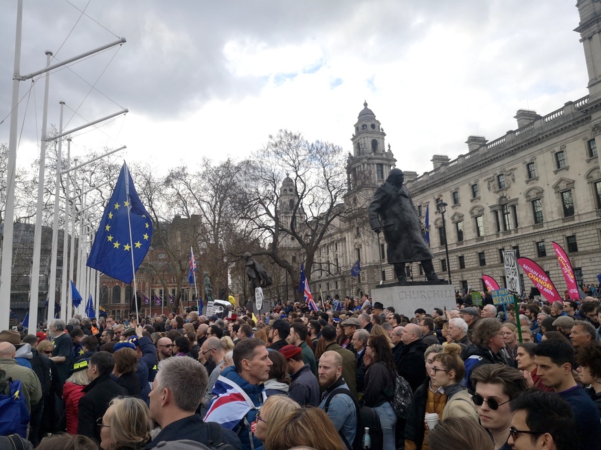 Protestors To March On Parliament This Weekend - Demanding We Rejoin ...