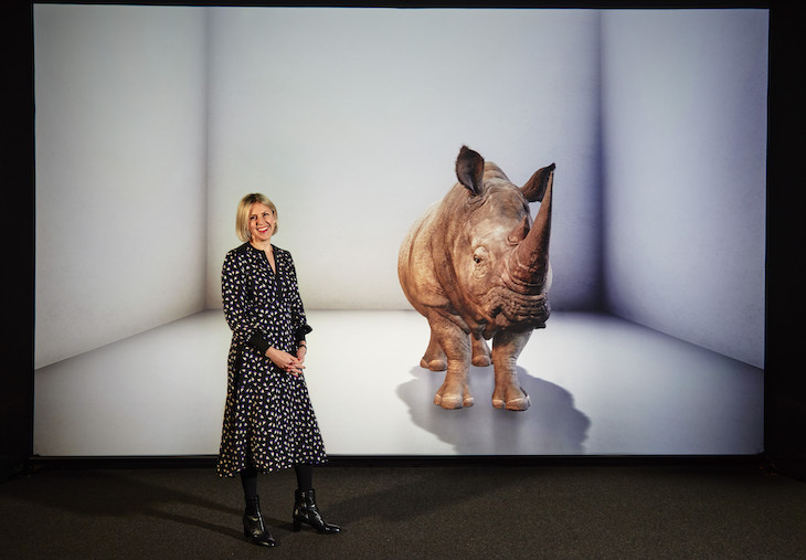 The Lost Rhino: The Natural History Museum Ponders Doomed Animal ...