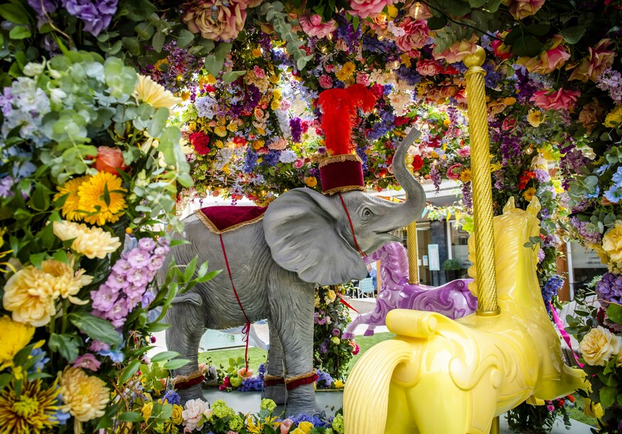 Win £500 To Splurge In Belgravia's Bloomin' Brilliant Bars, Boutiques ...
