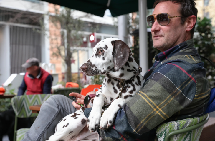 The Dalmatian Cafe | Londonist