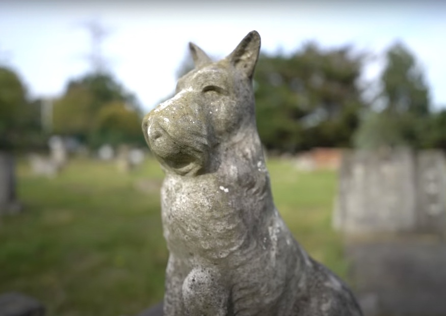 London's Cemetery For Heroic Animals | Londonist