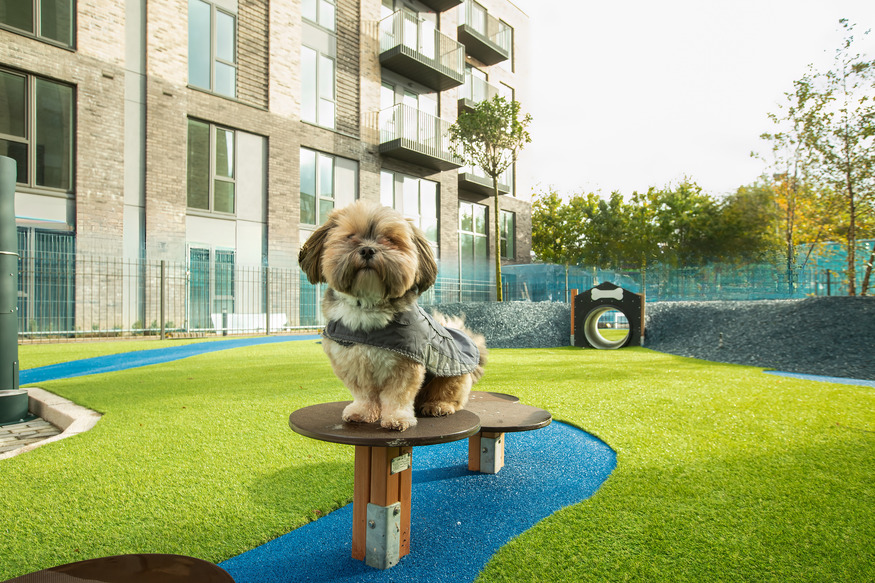 London Renters! This Luxurious Pet-Friendly Development Just Got Bigger ...