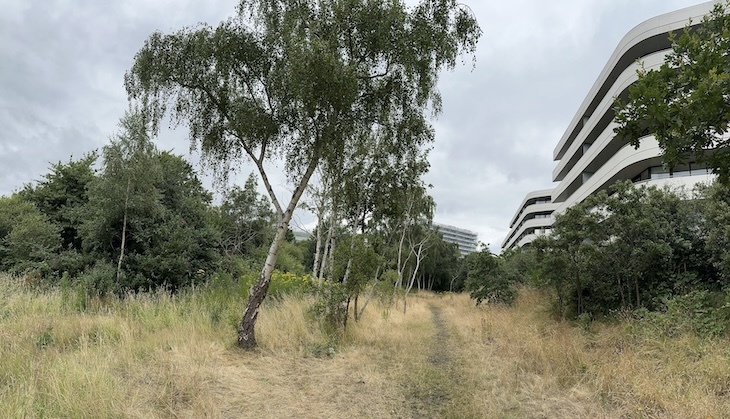 Gunnersbury Triangle Nature Reserve Near Chiswick Park | Londonist
