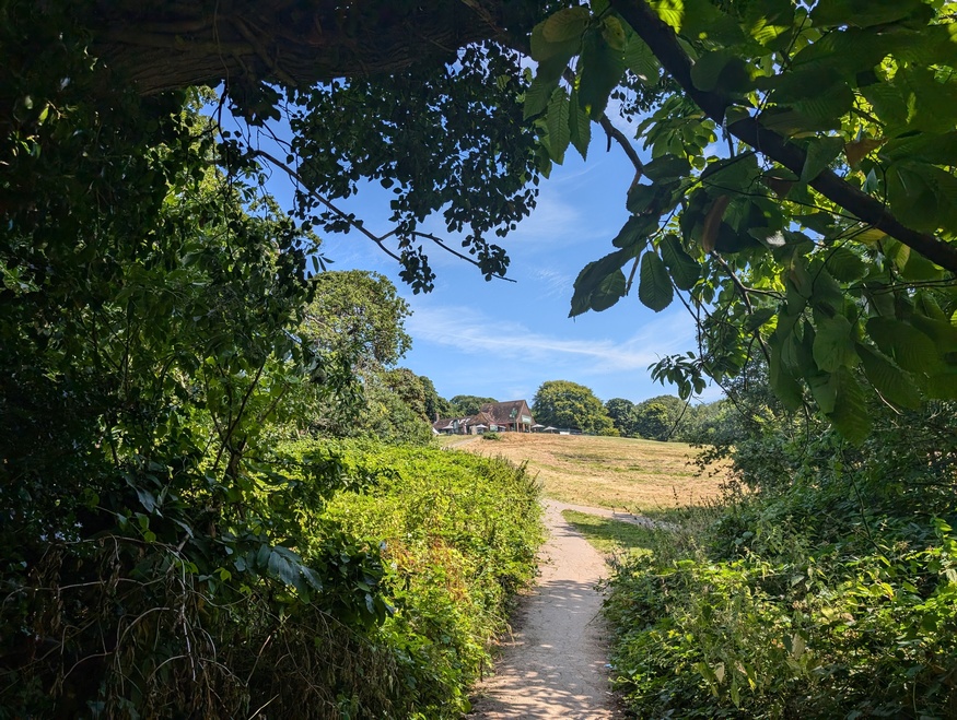 Oxleas Wood Cafe | Londonist