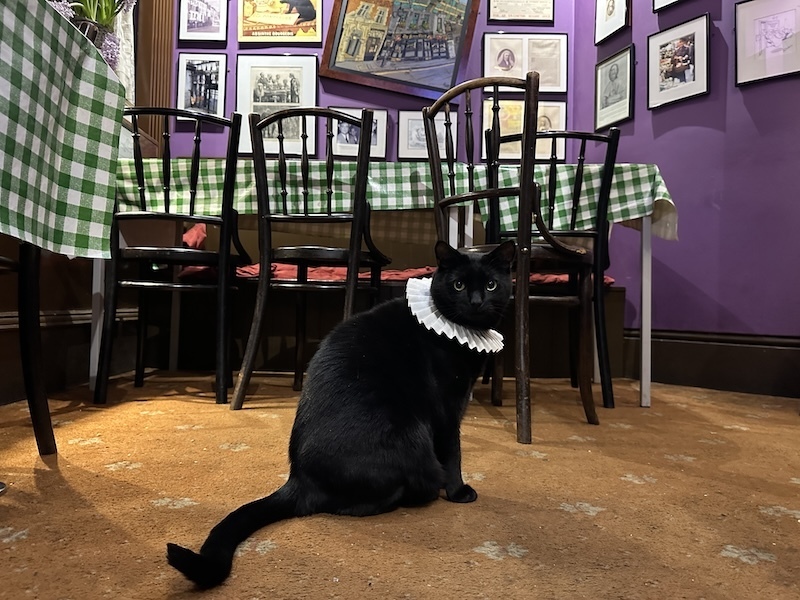 Seven Stars, Holborn | Londonist