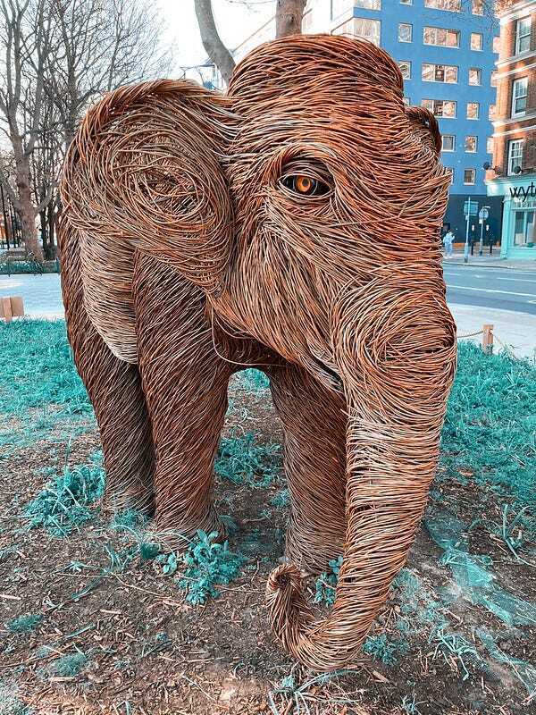 London's Most Important Elephants | Londonist