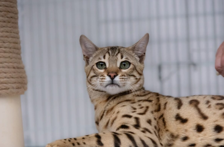 Things To Do In London This Week: 25-31 August 2025 | Londonist