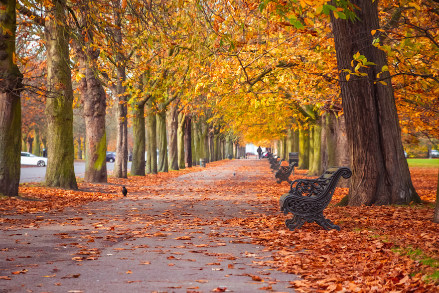 7 Of The Most Beautiful Walks In London For Autumn 2025 | Londonist