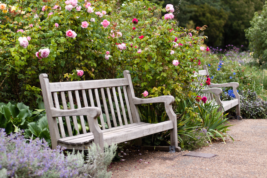 London's Best Rose Gardens: 8 Beautiful Places To See Roses In 2026 ...
